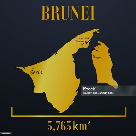 브루나이 황금 단단한 국가 윤곽 선실루엣 인포 그래픽 벡터 일러스트 레이션 고립 된 개체 배경에 대한 세계지도 템플릿의 현실적인 조각 모든 국가에서 설정 가정 생활에 대한