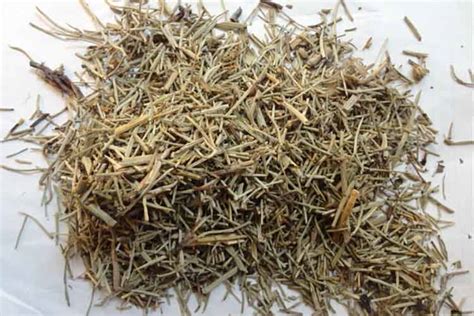 Wen Jing Wenjing Wen Jing Tang Wen Jing Pian For Sale Native Chinese