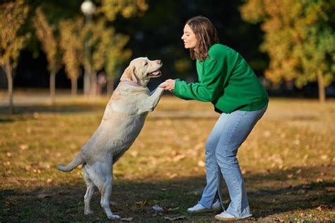 Premium Photo Young Woman And Her Obedient Big Dog In Autumn Park