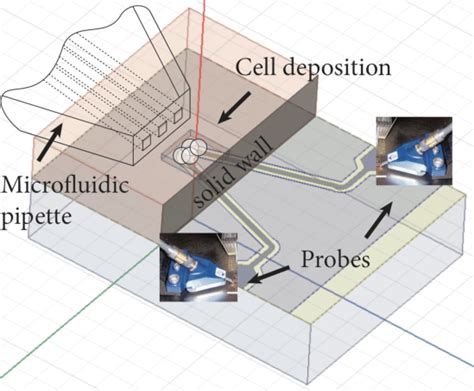 Schematic Illustration Of The Proposed Experimental Setup Download