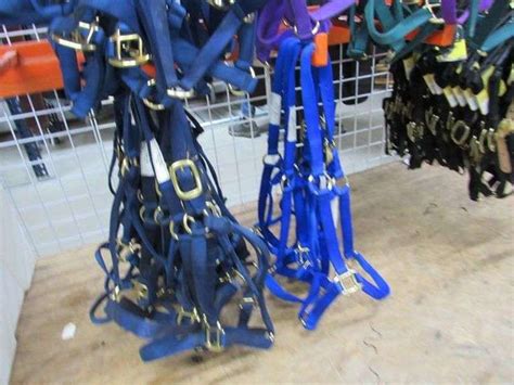 Approx 110 Assorted Nylon Halters On Grid Rosen Systems