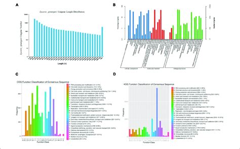 An Overview Of The RNA Sequencing RNA Seq Data Analysis In White