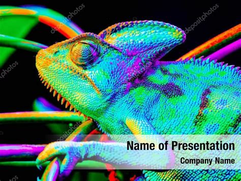 Chameleon Lizard Powerpoint Template Chameleon Lizard Powerpoint