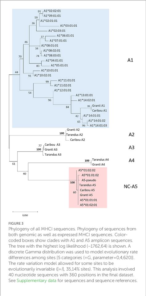 Figure 2 From Functional Immune Diversity In Reindeer Reveals A High