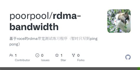 GitHub poorpool rdma bandwidth 基于roce的rdma带宽测试练习程序暂时只写到ping pong