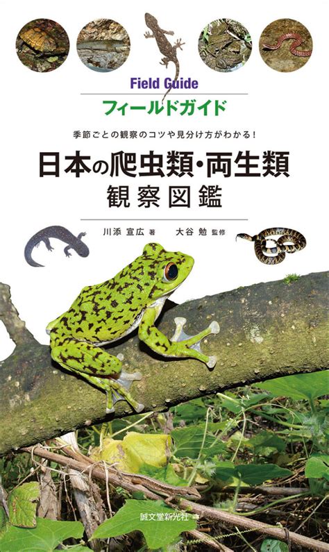 日本の爬虫類両生類 観察図鑑 株式会社誠文堂新光社