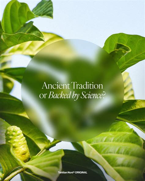 Journal Partnerco What Are Iridoids And Why Should I Care