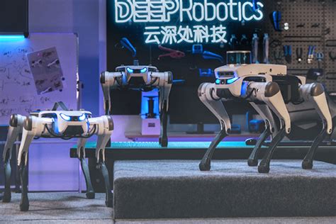Deep Learning Robotics With Perception Deep Robotics