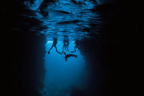 რა დროს ოკეანის ადიდებაა