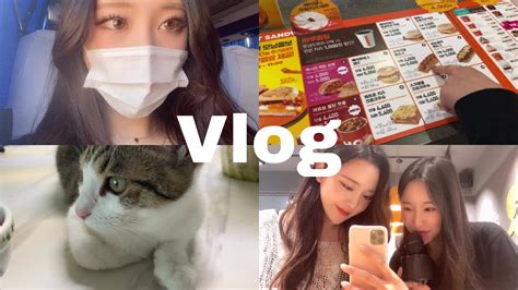 Vlog 직장인 브이로그 블루투스 마이크 고양이 8마리 집사 던킨 Youtube