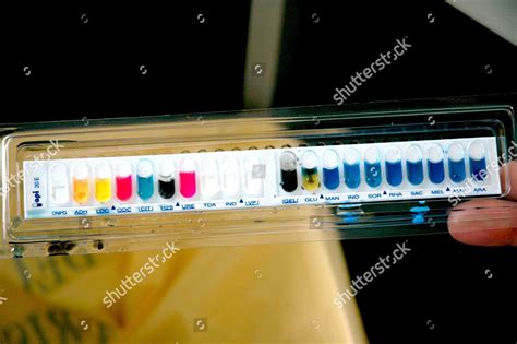 Laboratory Analysis Editorial Stock Photo Stock Image Shutterstock