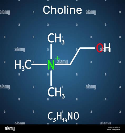 Choline Structure