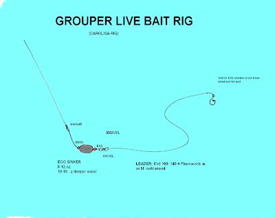 Grouper Live Bait Rig