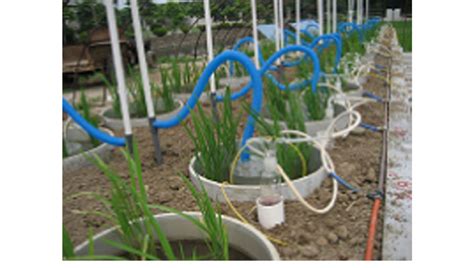 Lysimeter Device For Measuring Ammonia Volatilization Download