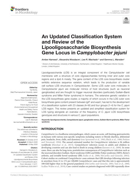 Pdf An Updated Classification System And Review Of The Lipooligosaccharide Biosynthesis Gene