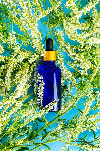 향기로운 야생화의 산란에 유리 드롭퍼 병 파란색 맨 위 보기입니다 천연 화장품 과 스킨 케어 아로마 에센셜 오일 페이스 세럼에 대한 스톡 사진 및 기타 이미지 Istock