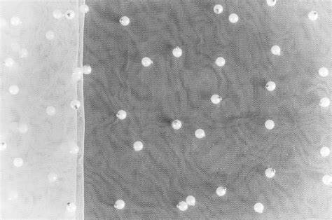 백색 반투명 직물 비즈 자 수입니다 구슬 및 Sequins와이 차원 3 차원 꽃 수 놓은 명주 수 0명에 대한 스톡 사진 및