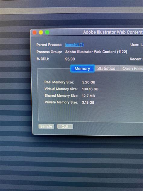 how is virtual memory so high also is this app really using 97 or my