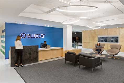 Bluecat Networks To Acquire Liveaction From Insight Partners Betakit
