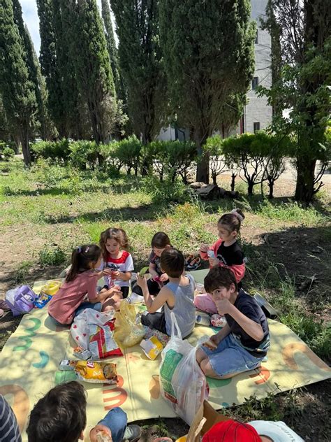 მწვანე სკოლა ტყის მწვანე სკოლა ტყის კამპუსი