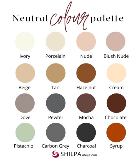Procreate Neutral Color Palette Color Swatches Digital Illustration