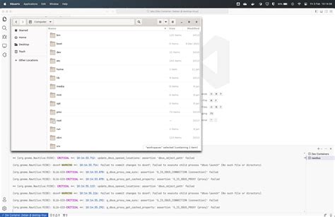 The New Gui Forwarding Works From A Linux Container To Macos Rvscode