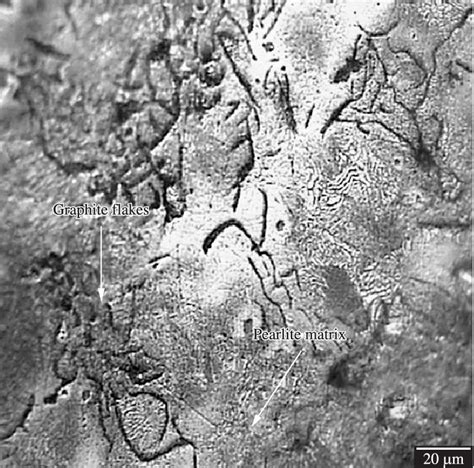 Microstructure Of Gray Cast Iron Optical Microscope Download