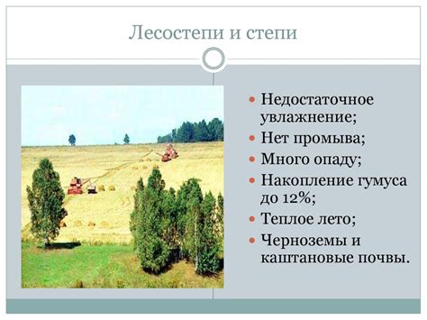 Главные типы почв России Типы и свойства почв различных природных зон презентация онлайн