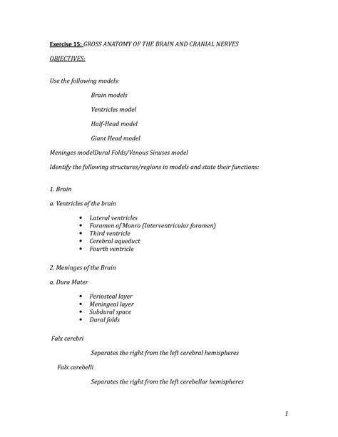 Lab Objectives Chapter 17 Exercise 15 Gross Anatomy Of The Brain And