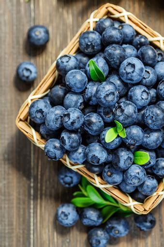 텍스트에 대한 복사 공간이있는 신선한 블루 베리 배경 건강한 식생활과 영양을 위한 그릇 컨셉의 블루베리 항산화 유기농 슈퍼푸드 0명에 대한 스톡 사진 및 기타 이미지