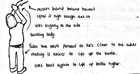 Character Interaction Action Analysis