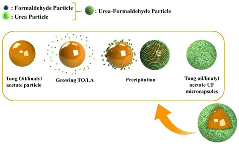 Schematic Illustration Of Steps For The Synthesis Of Urea Formaldehyde Download Scientific