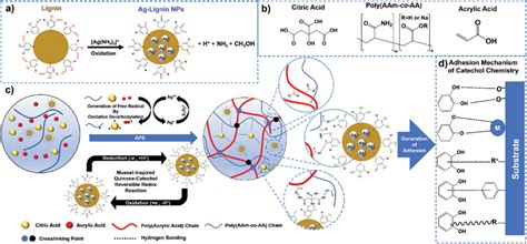 A Synthesis Of Ag‐lignin Nps By A Redox Reaction Between Reductive Download Scientific Diagram