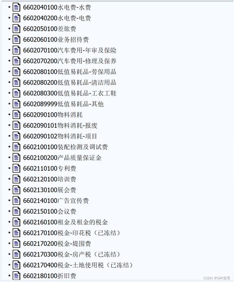 Sap Fico总账科目案例 Csdn博客