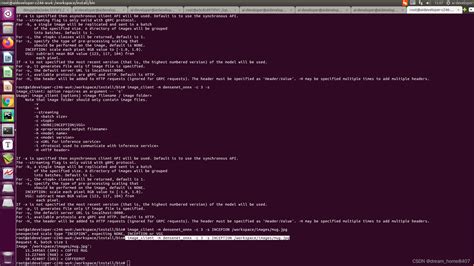 triton server部署学习笔记 tritonserver 22 07 py3 csdn博客