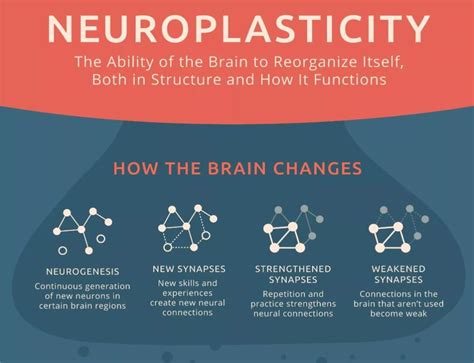 Adulting Harnessing Metacognition To Improve Intimacy And Generativity Marbled Mind Pllc