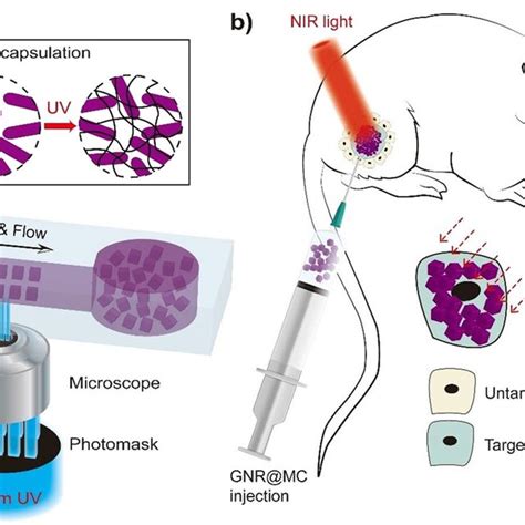 A Schematic Illustration Of Implanted Photothermal Therapy A