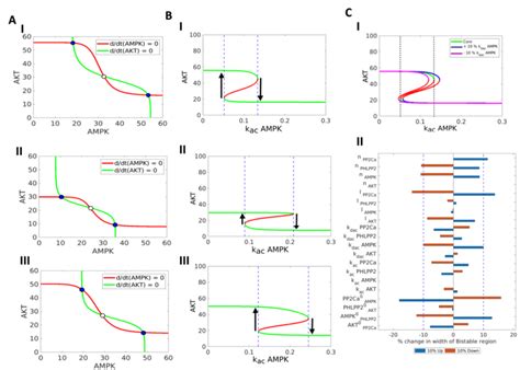 nullcline bifurcation and sensitivity analysis a nullclines for