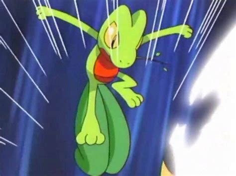 Pokemon Project Treecko Anime Amino