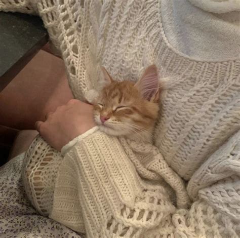 Penny Petite On Tumblr