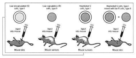 全屏显示 专题 章节