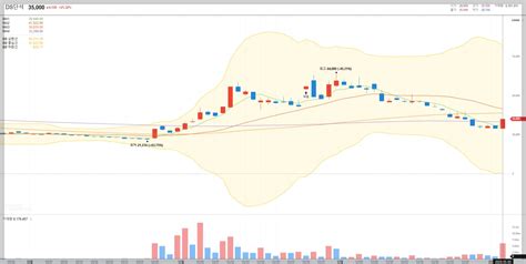 Ds단석 주가 전망 배당금 및 목표 주가 분석