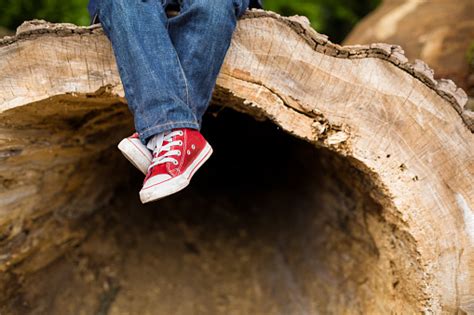다리와 작은 아이 소년의 발 빨간 운동 화 그리고 청바지입니다 아이 거 대 한 컷된 나무 야외에 앉아입니다 큰 잘라 나무 하 고 그것에 소년입니다 갈색에 대한 스톡 사진 및