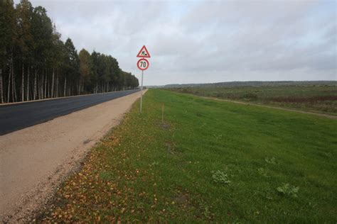 Zāliena Sēklas Tiem Kas Pirmoreizi Sēs Un Profesionāļiem