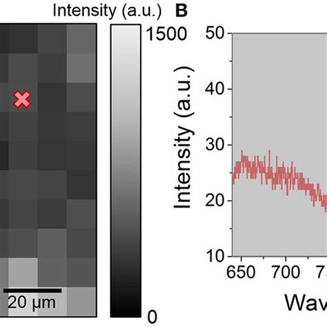 Schematic Diagram Of A Diffractometer System Download Scientific Diagram