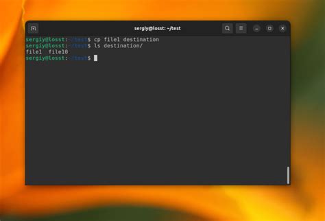 Команда cp в Linux Losst