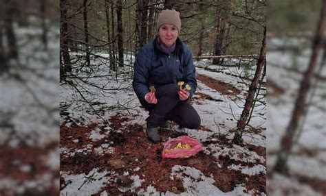 Жінка з прикордонної громади Чернігівщини у грудні назбирала зеленок