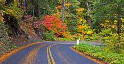 Oregons Stunning 82 Mile Scenic Drive Winds Past Waterfalls Lava
