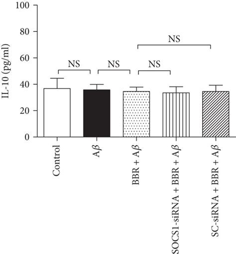 socs1 sirna reversed bbr induced effects on arg 1 expression and