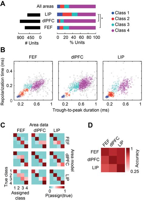reliability of waveform clustering across cortical regions a